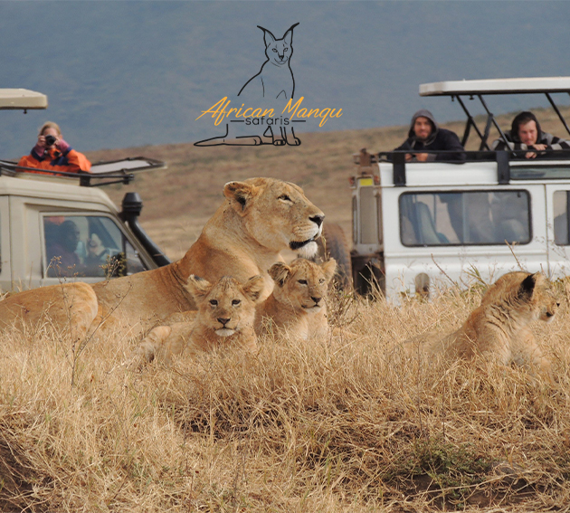 About Us – African Mangu Safaris
