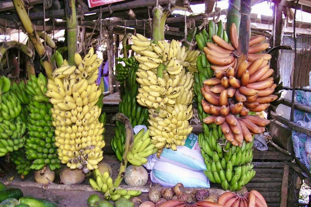 7 Days Luxury Safari ~ African Mangu Safaris