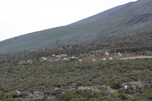 7 DAYS RONGAI ROUTE ~ African Mangu Safaris